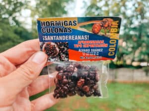 34 Delicious Traditional Colombian Foods to Eat in Colombia