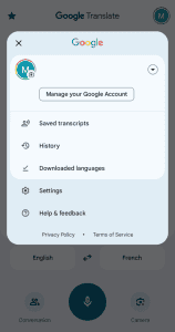 Don’t Speak the Language? No Problem! Google Translate Has You Covered ...